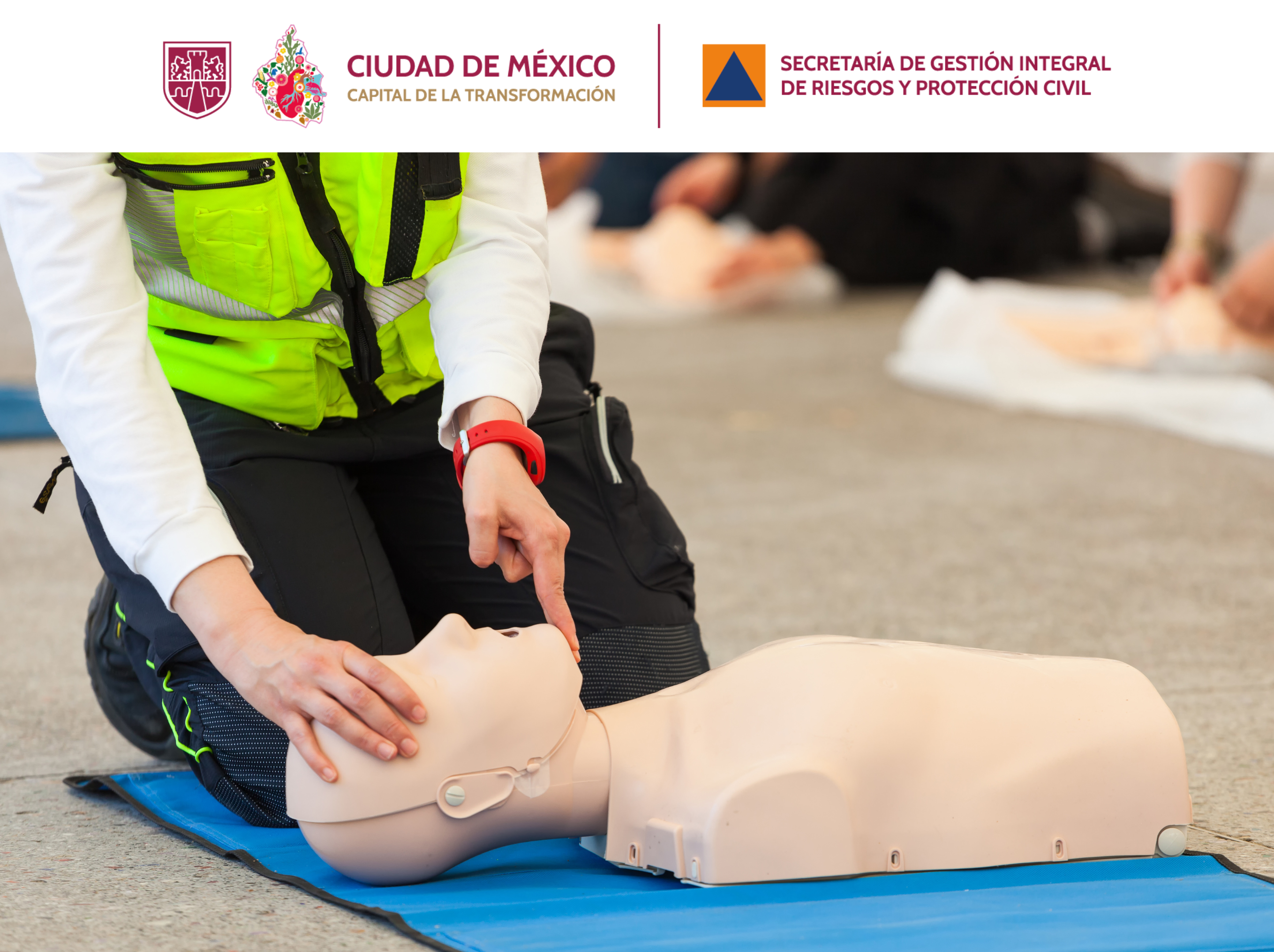 Resumen de Curso Básico de Primeros Auxilios